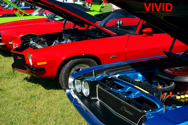 Sony A500 and A550 Digital SLR Review: Field Test Report